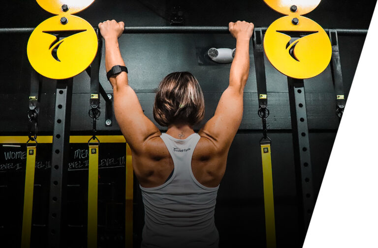 Experience - Twisted Cycle