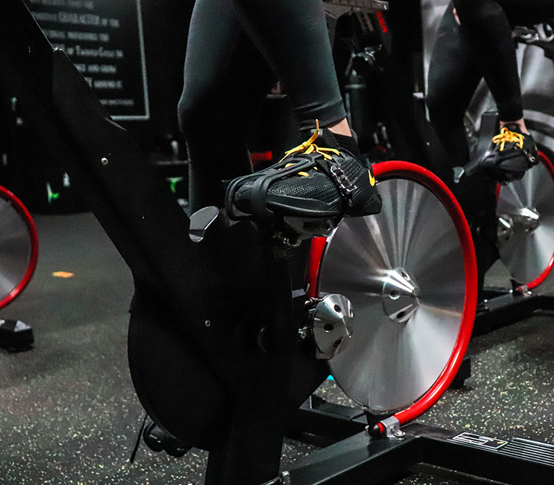 Experience - Twisted Cycle