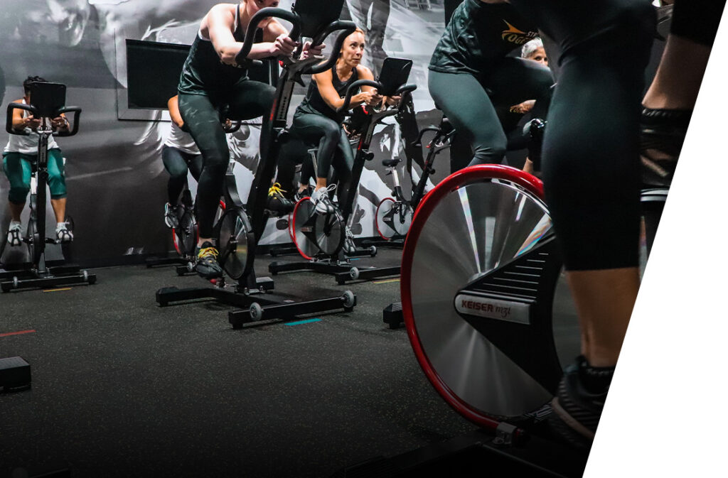 Experience - Twisted Cycle