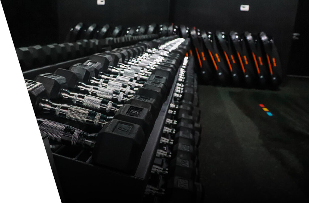 Experience - Twisted Cycle